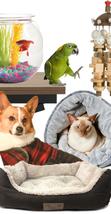 Variety Superstore | Biggest In Town